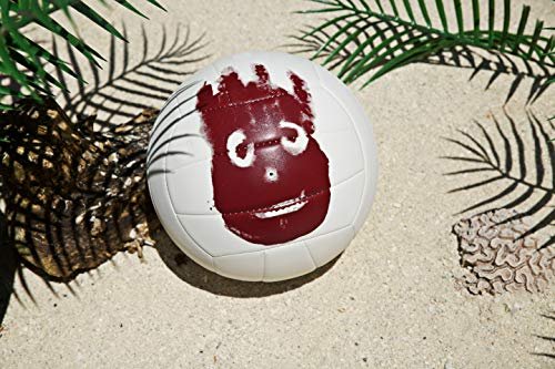 Wilson Cast Away Volleyball, White, Official - Imported Products from ...