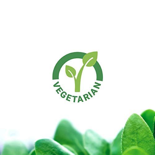 Life Extension Uric Acid Control - Ayuric Terminalia Bellerica Fruit ...