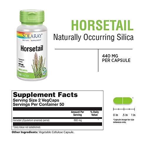 Solaray Horsetail Capsules, 440 Mg, 100 Count - Imported Products from ...
