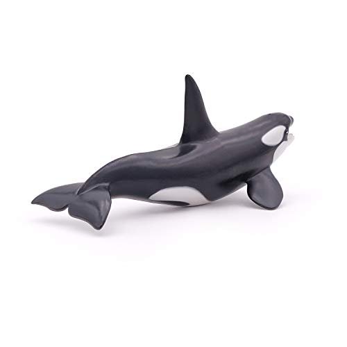 Papo - Hand-Painted - Figurine - Marine Life - Killer Whale Figure ...