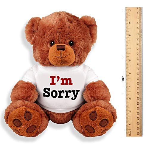 I Am Sorry Teddy Bear - Cute and Cuddly : Funny Teddy Bear Couple Gift ...