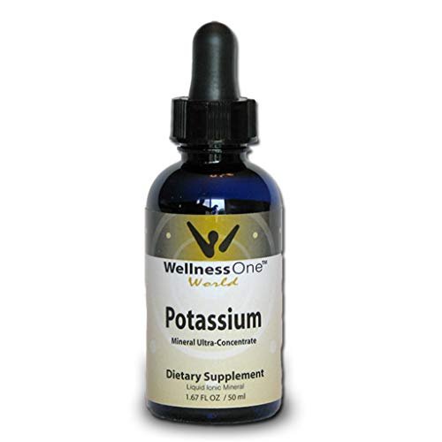 Wellnessone Liquid Potassium Supplement - Ionized Potassium Chloride ...