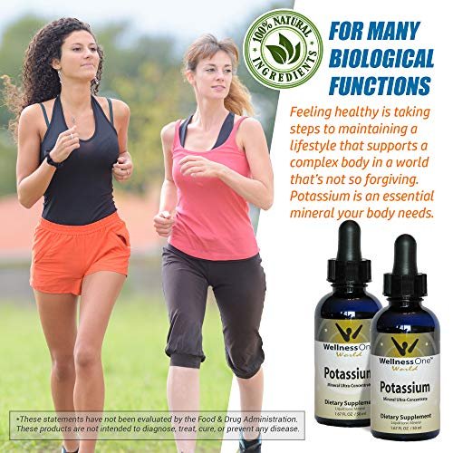 Wellnessone Liquid Potassium Supplement - Ionized Potassium Chloride ...