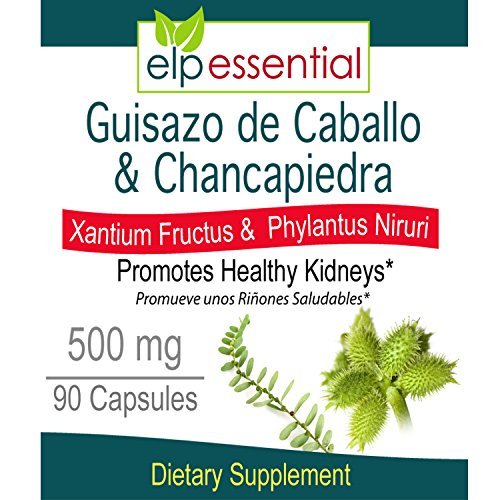 Guisazo De Caballo And Chancapiedra 500 Mg 90 Capsules Promotes Healthy ...