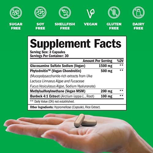 Vegan Glucosamine Chondroitin, Phytodroitin Msm Supplement Capsules ...