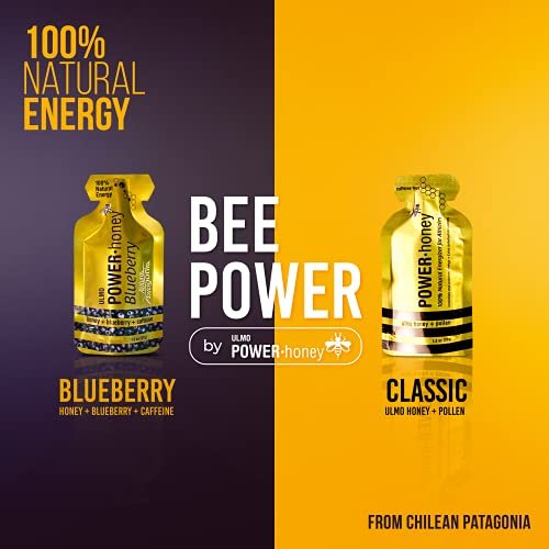Power Honey Classic & Blueberry Energy Gel | 24 Units Per Packs Of 1.3 ...