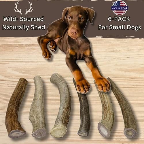 Whitetail Naturals - Antlers For Small Dogs (6 Pack) Deer Antler Dog ...