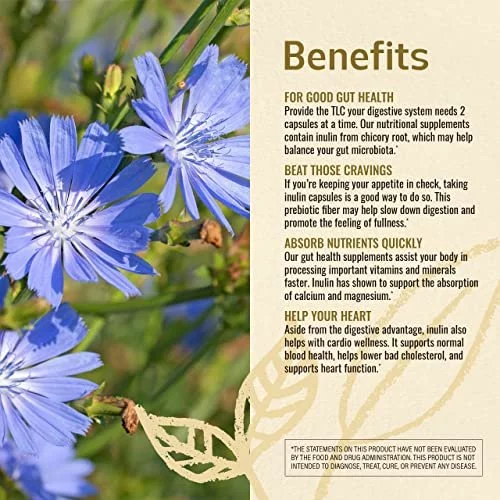 Herbamama Inulin Powder Capsules - Organic Chicory Root Inulin ...