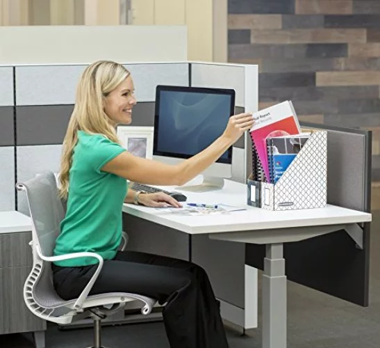 Bankers Box 10723 Corrugated Cardboard Magazine File, 4 X 9 1/4 X 11 3/ ...