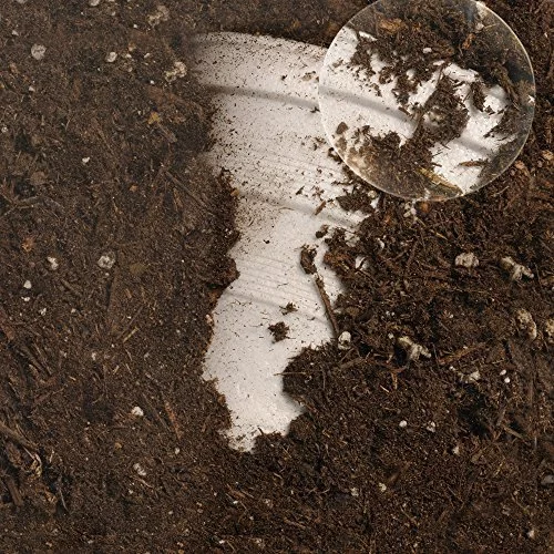 Educational Insights See-Through Compost Container, Stem Toy For ...