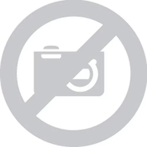 Papo Weapon Master Dragon Horse Toy, Green/Gold - Imported Products ...