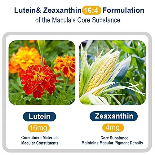 Dr. Brian Eye Vitamins Lutein & Zeaxanthin Capsule Lutein Supplement ...