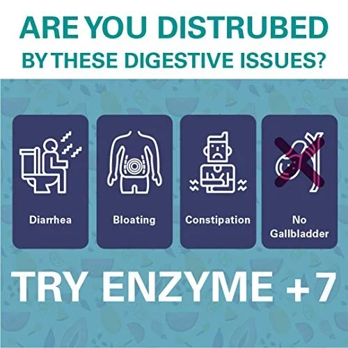 Digestive Enzymes Supplement - Includes Purified Ox Bile Salts ...
