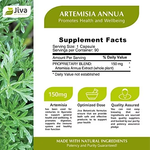 Jiva Botanicals - Artemisia Annua Capsules - Sweet Wormwood Capsules - Wormwood Herb Extract ...