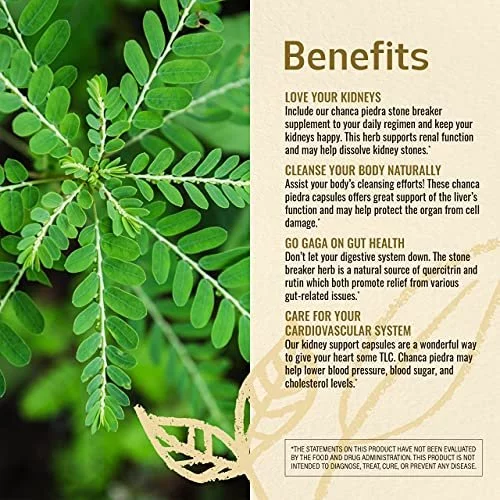 Herbamama Stone Breaker Chanca Piedra Pills - Organic Chanca Piedra ...