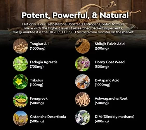 Nutriissa Pct Supplement For Men Premium All-In-One Support For ...