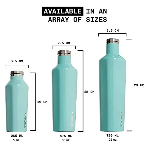 Corkcicle water bottle store