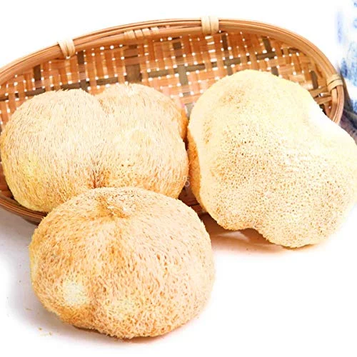 Wing Fung Hong Dried Lions Mane Monkey Head Mushroom 16 oz