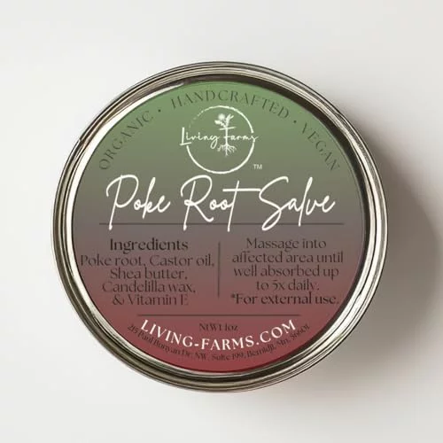 Poke Root Castor Oil Salve -1oz- Cysts Boils Fibroids Swollen Lymph ...