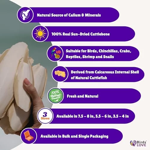 Birds Love Natural Cuttlebone Premium Calcium Trace Mineral Supplement ...