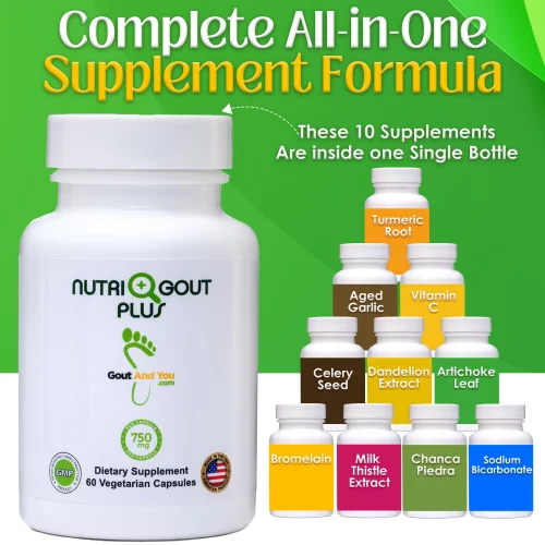 Gout And You Nutrigout Plus - Uric Acid Support Premium Formula