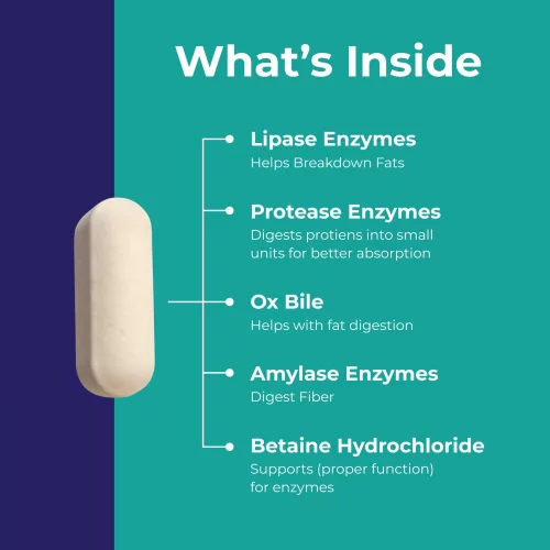 Digestive Enzymes Supplement - Includes Purified Ox Bile Salts ...