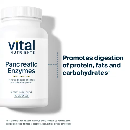 Vital Nutrients Pancreatic Enzymes 1000Mg (Full Strength) | Pancreatin ...