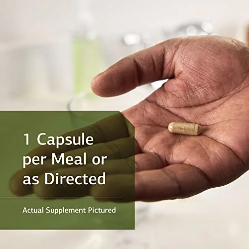 Standard Process Circuplex - Whole Food Rna Supplement, Nervous System ...