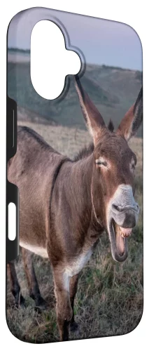 iPhone 16 Donkey Case